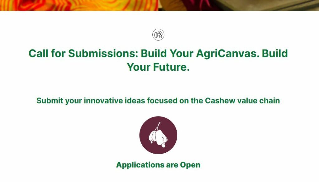 MOVE-ComCashew Call for Ideas focused on the Cashew Value Chain 2025 ...