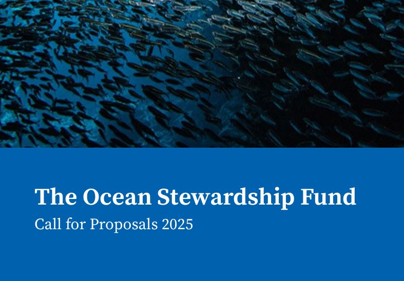 MSC Ocean Stewardship Fund 2025 (up to £50,000) – Opportunity Desk
