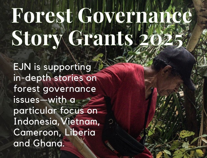 Earth Journalism Network (EJN) Forest Governance Story Grants 2025 – Opportunity Desk