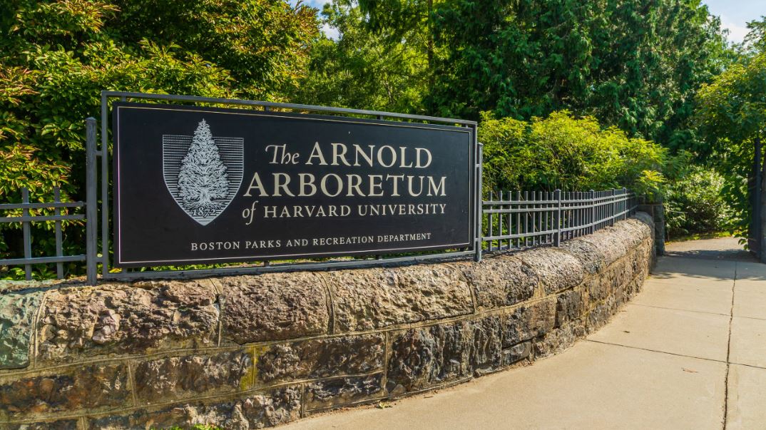 DaRin Butz Research Internship Program 2026 at the Arnold Arboretum of ...