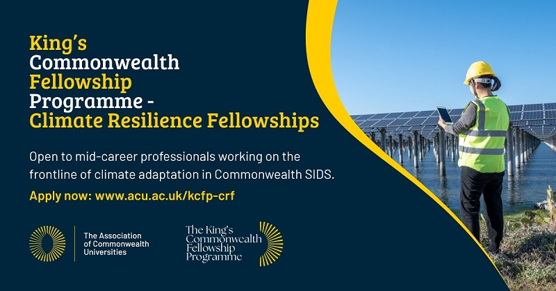 Call For Mentors And Supervisors King S Commonwealth Fellowship