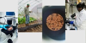 Google.org Impact Challenge: AI for Science 2026 (up to $3M ...