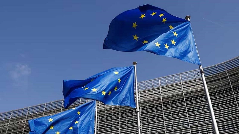Funded Traineeship for Young Graduates at the EU Delegation to the ...