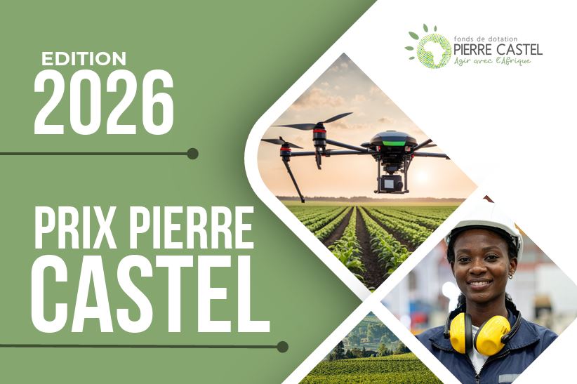 Pierre Castel Prize 2026 (€25,000 prize) – Opportunity Desk