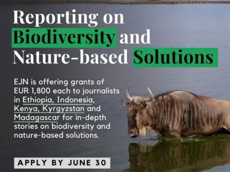 EJN Biodiversity and Nature-based Solutions Story Grants 2026 ...